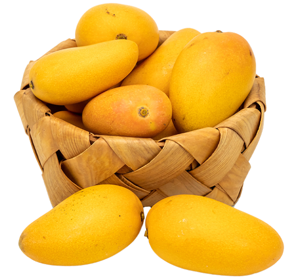 Are Pakistani Mangoes The Best In Europe Market Juicy Mangoes
